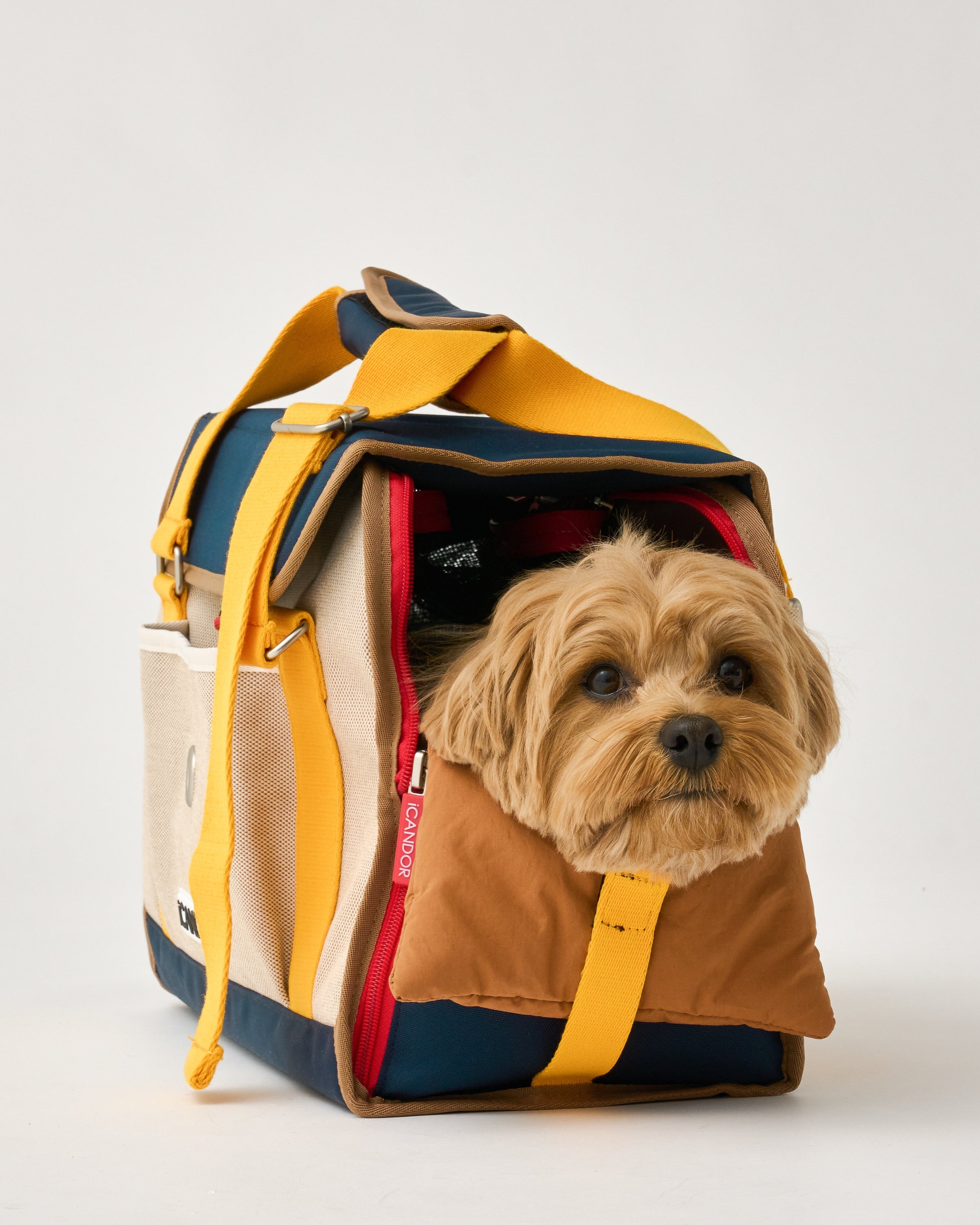 iBag | Pet Travel Carrier - Sassy Cream - 2&4 PETS