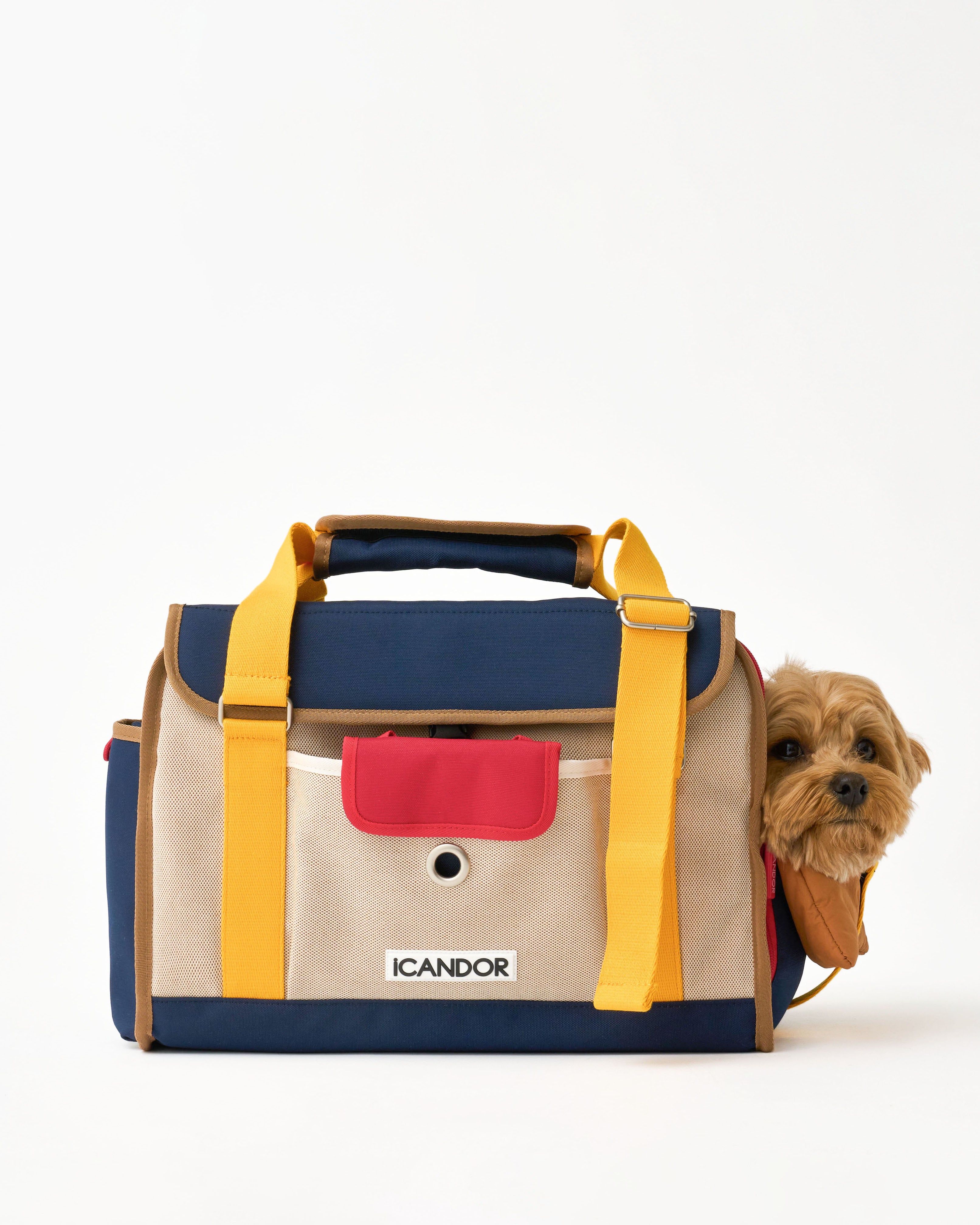 iBag | Pet Travel Carrier - Sassy Cream - 2&4 PETS