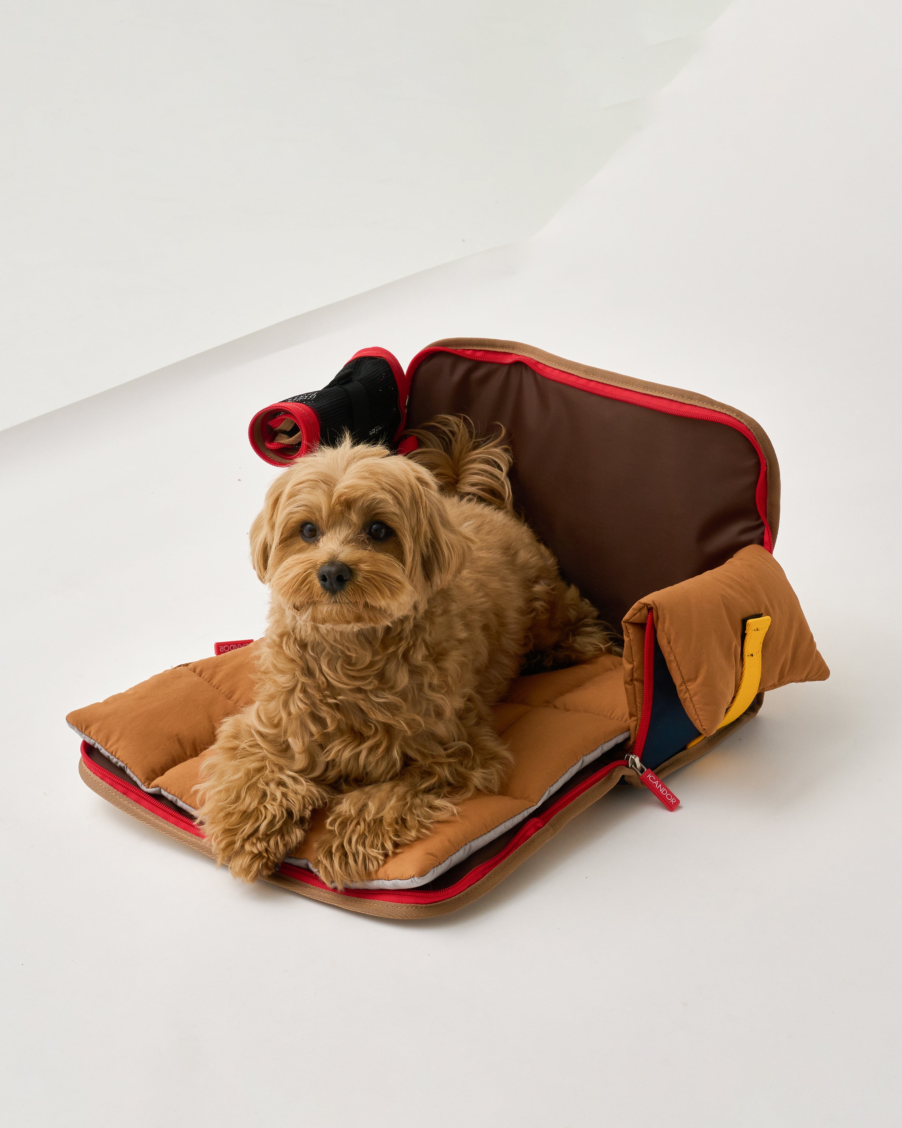 iBag | Pet Travel Carrier - Sassy Cream - 2&4 PETS